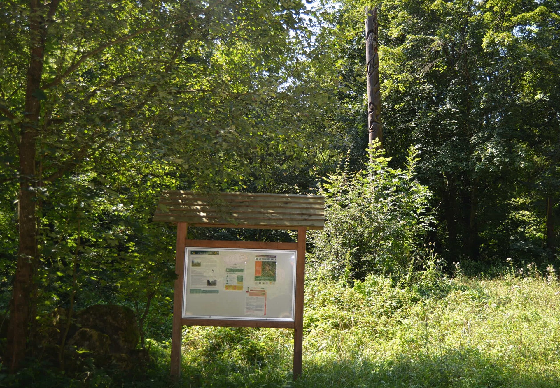 Forêt communale - Mairie de Vitry sur Orne